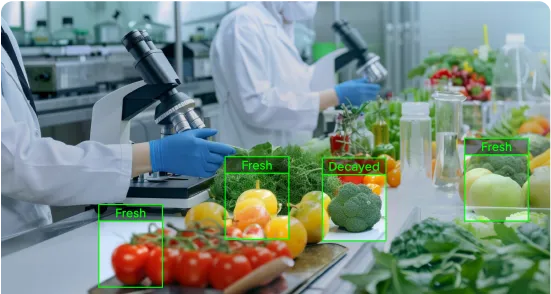 Cutting-edge AI Computer Vision Development Services