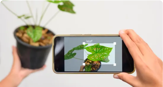 Cutting-edge AI Computer Vision Development Services